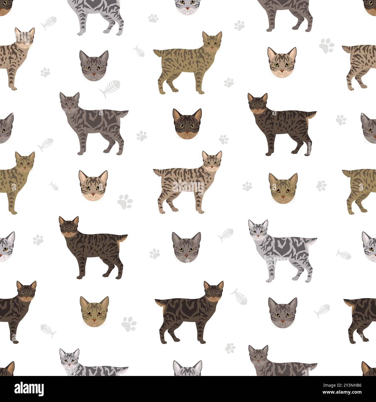 Desert Lynx Cat seamless pattern. All coat colors set. All cat breeds ...