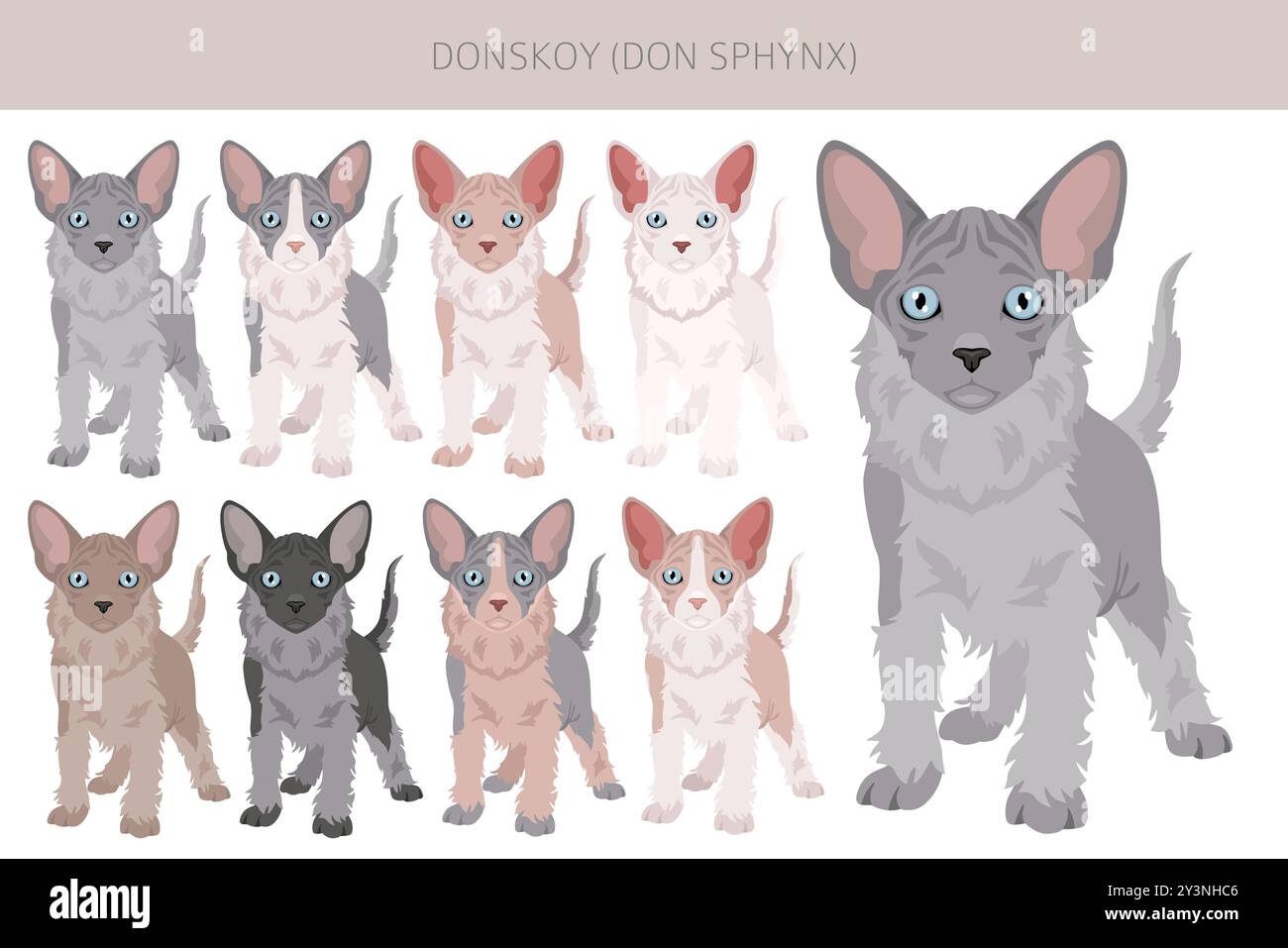 Donskoy, Don Sphynx Cat clipart. All coat colors set. All cat breeds ...