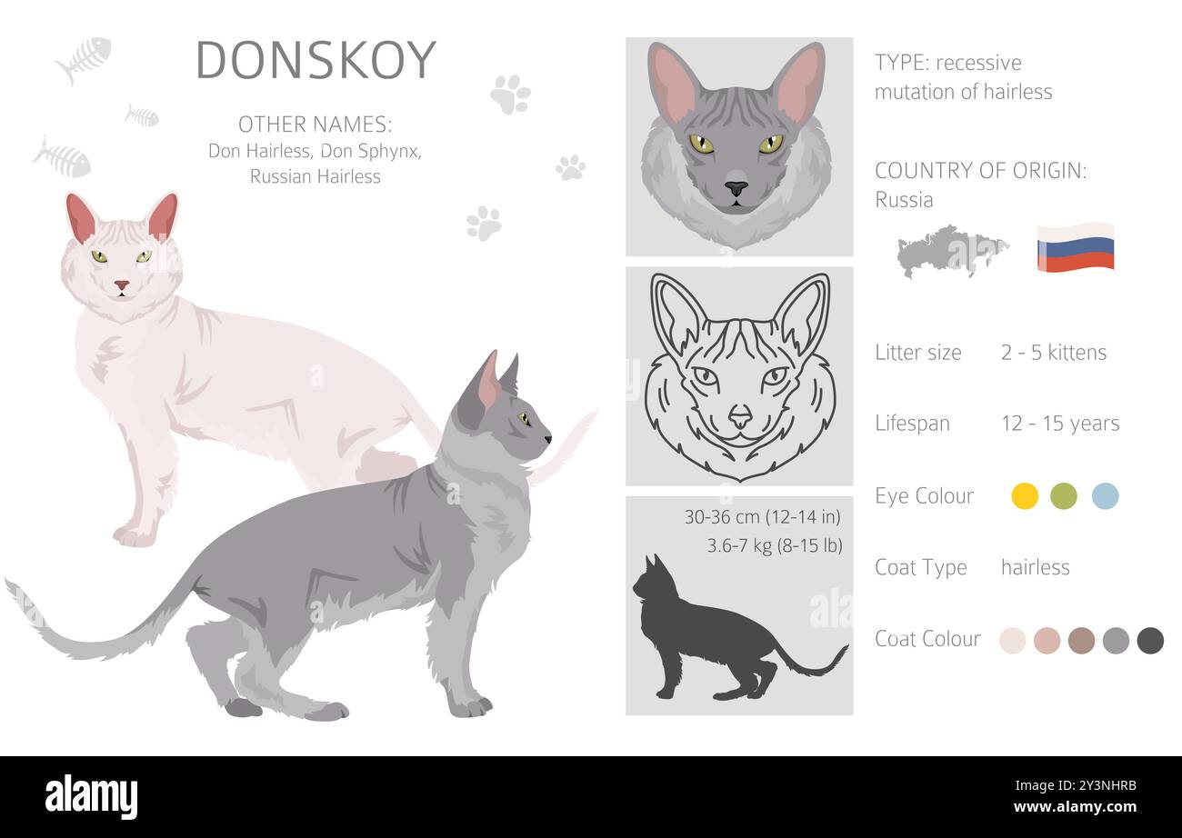 Donskoy, Don Sphynx Cat clipart. All coat colors set. All cat breeds ...