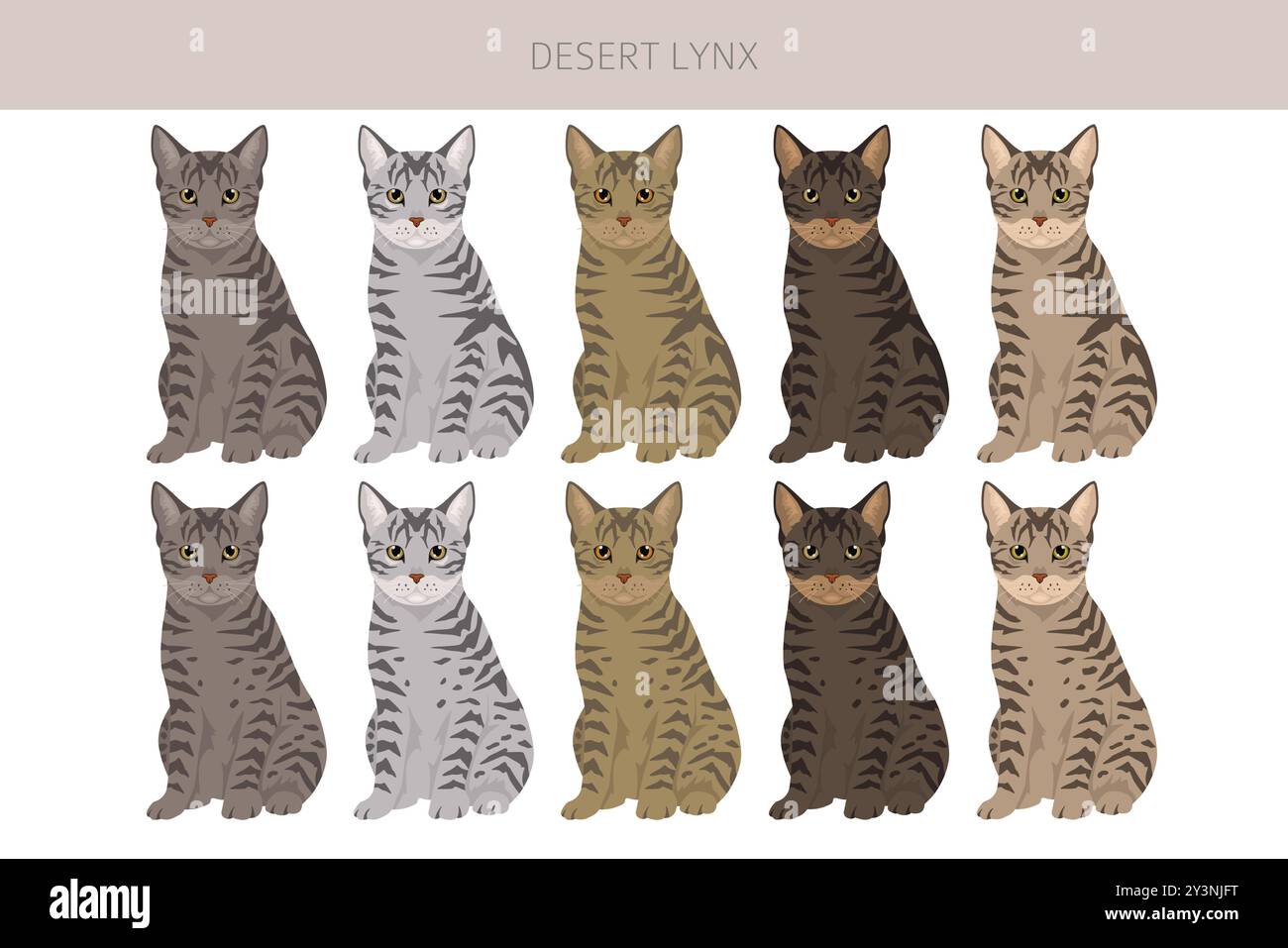 Desert Lynx Cat clipart. All coat colors set. All cat breeds ...