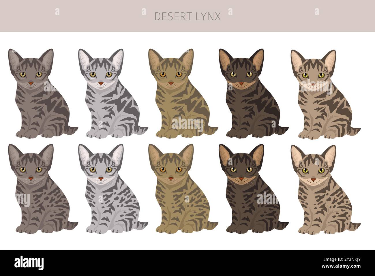 Desert Lynx Cat clipart. All coat colors set. All cat breeds ...