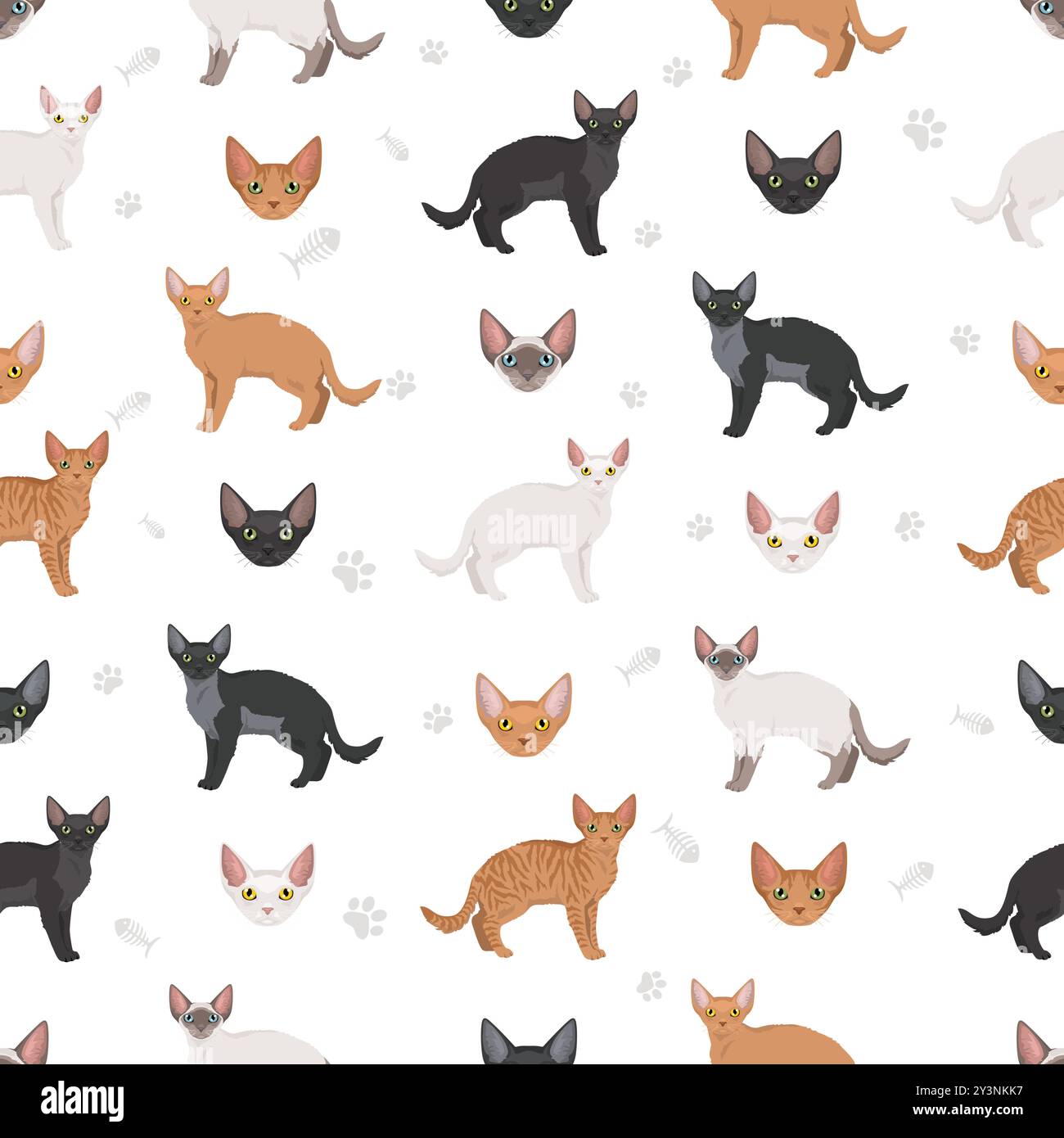 Devon Rex Cat seamless pattern. All coat colors set. All cat breeds ...
