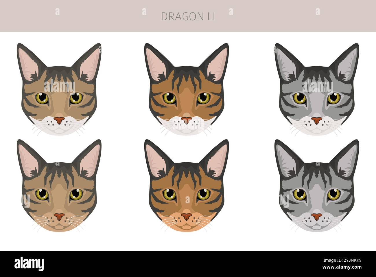 Chinese Dragon Li Cat clipart. All coat colors set. All cat breeds ...