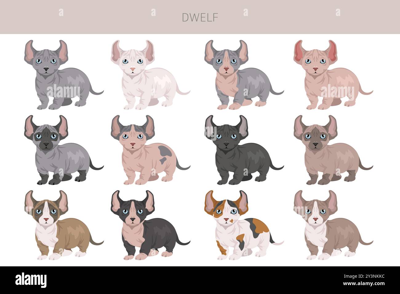 Dwelf Cat clipart. All coat colors set. All cat breeds characteristics ...
