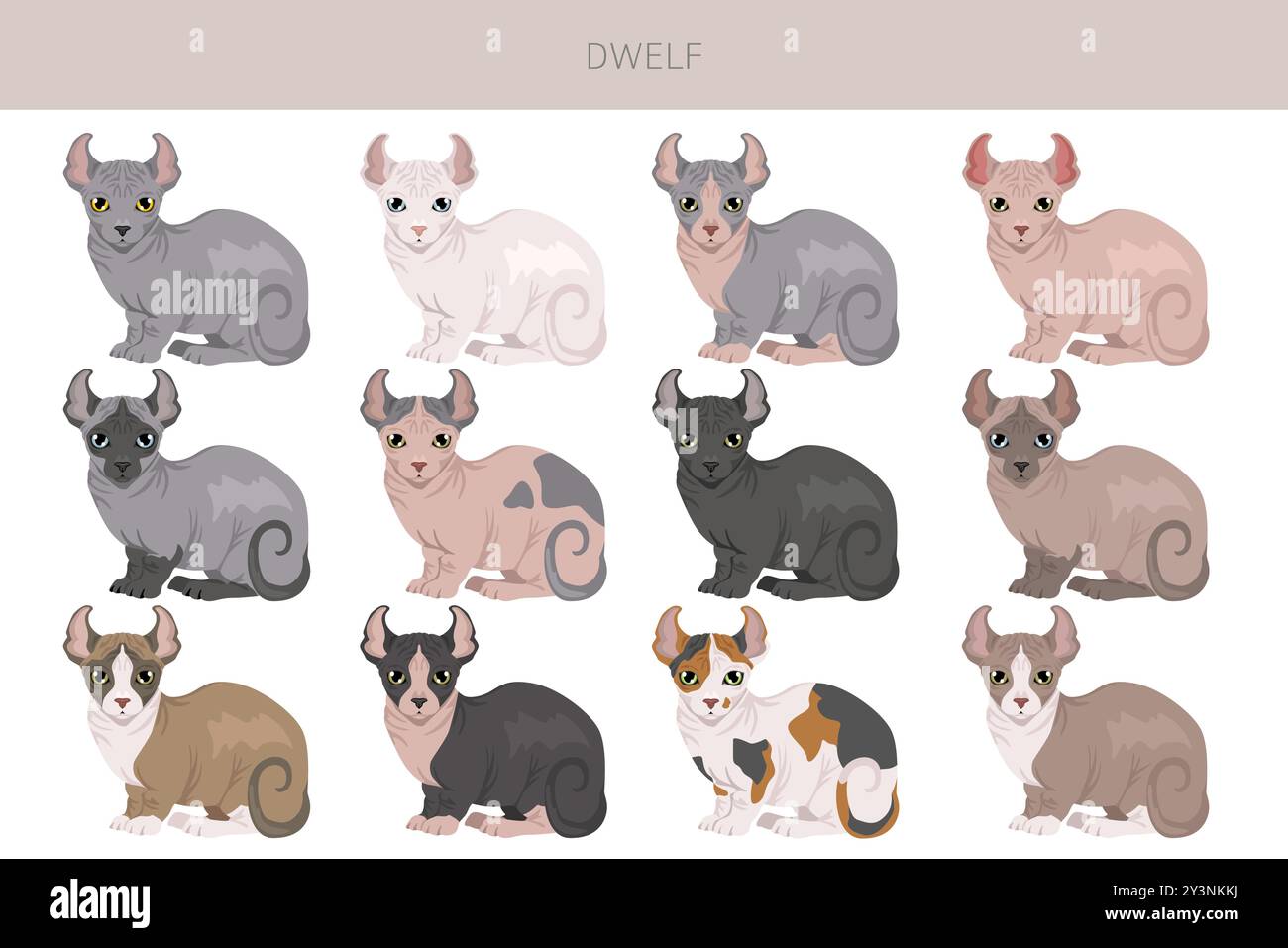 Dwelf Cat clipart. All coat colors set. All cat breeds characteristics ...