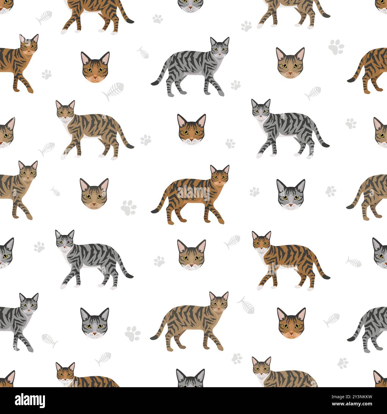 Chinese Dragon Li Cat seamless pattern. All coat colors set. All cat ...