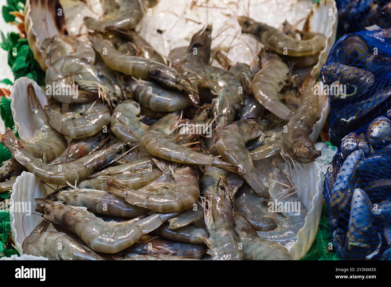 A close-up view of fresh shrimp displayed on a bed of ice, showcasing ...