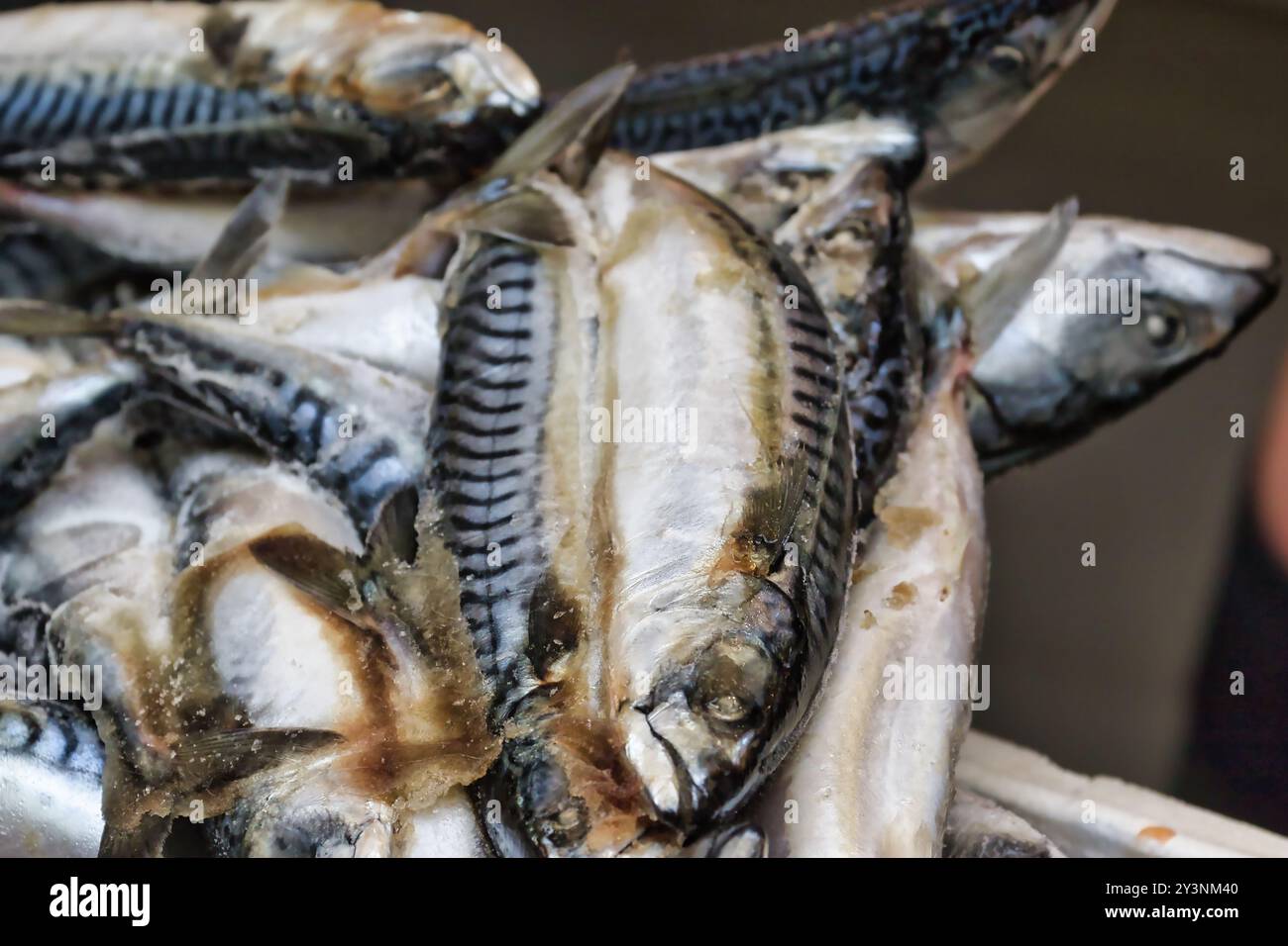 Distinctive silver scales hi-res stock photography and images - Alamy