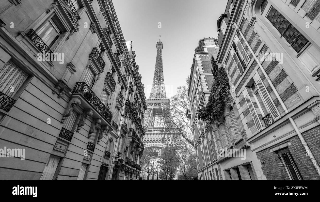 A quiet morning in Paris features charming streets lined with elegant ...