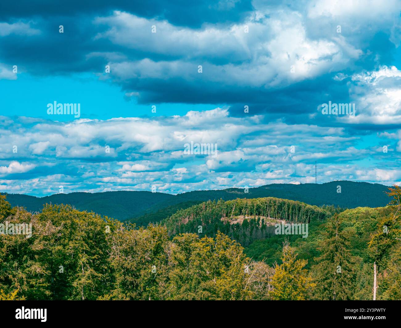 Landscape shot lush forest hi-res stock photography and images - Alamy