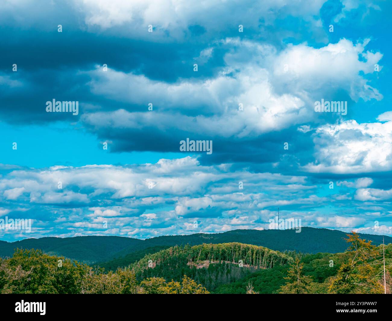 Landscape shot lush forest hi-res stock photography and images - Alamy