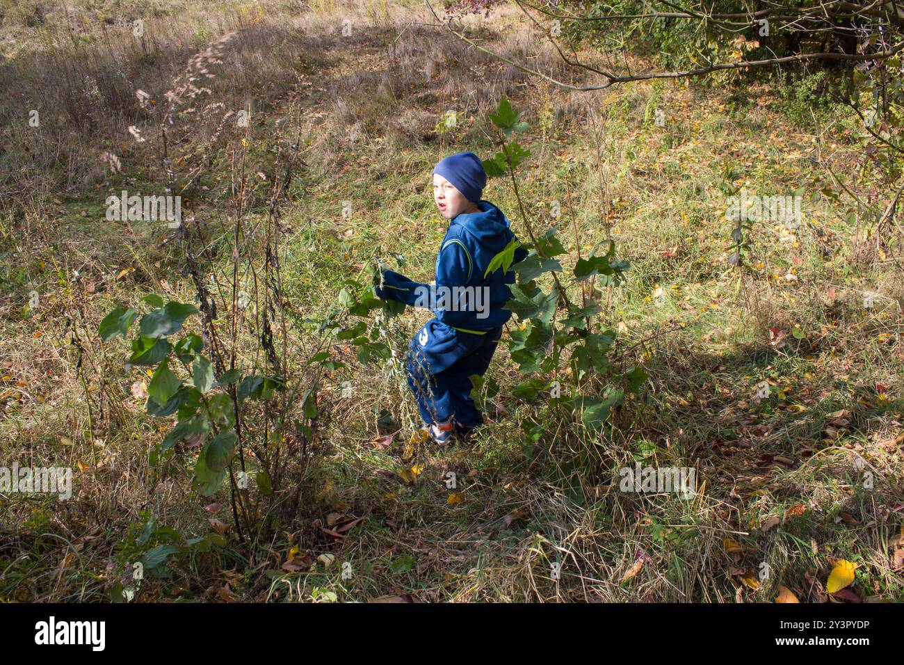 scared boy running around in the autumn on dry grass Stock Photo - Alamy