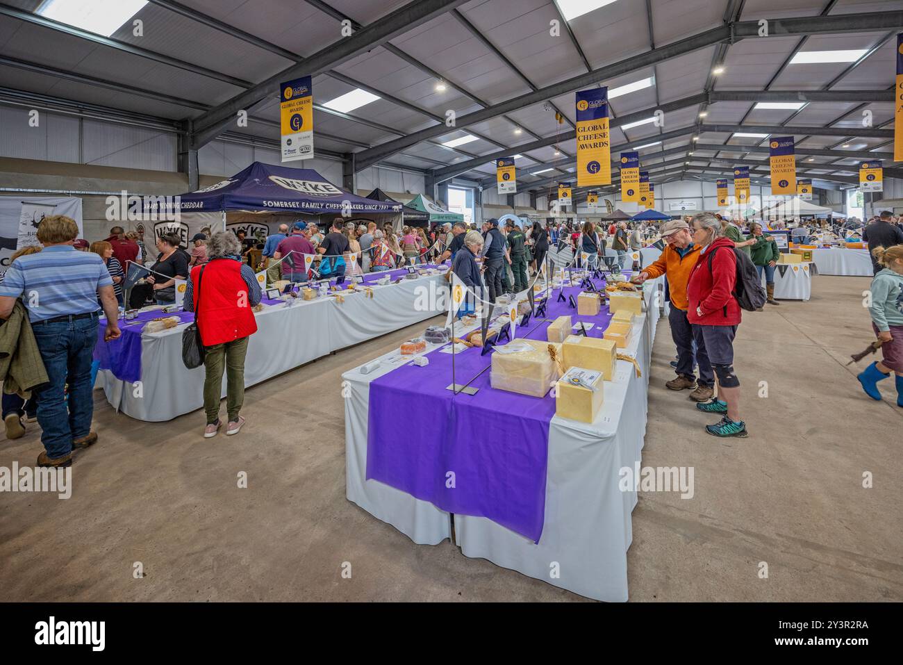 Cheeses on display for best cheese compeition at the Frome Cheese Show ...