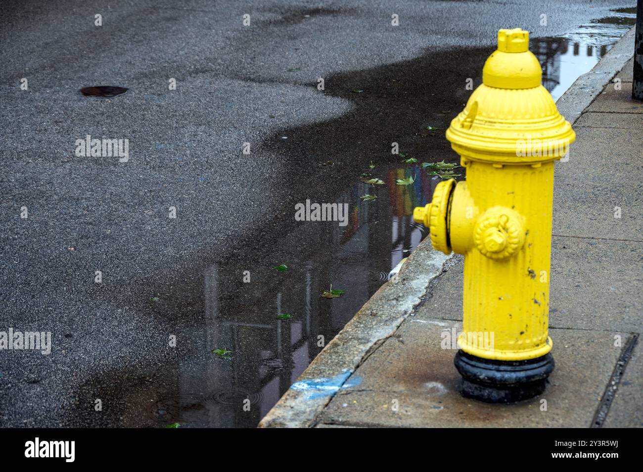 Fire hydrant on the street of Rhode Island Providence Stock Photo - Alamy