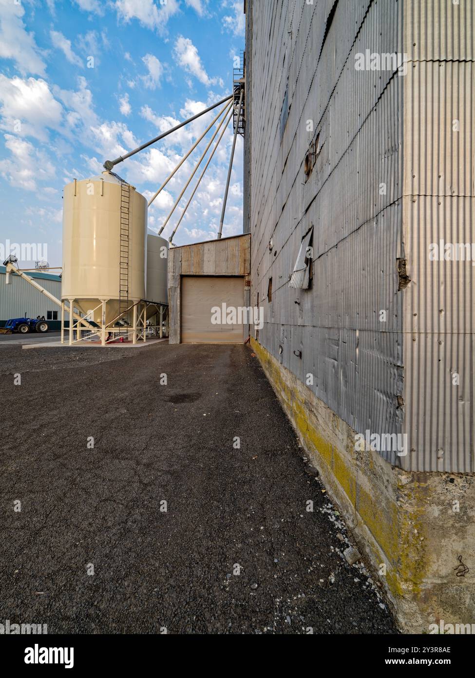 Shiny modern grain storage bins next to an old grain elevator with ...