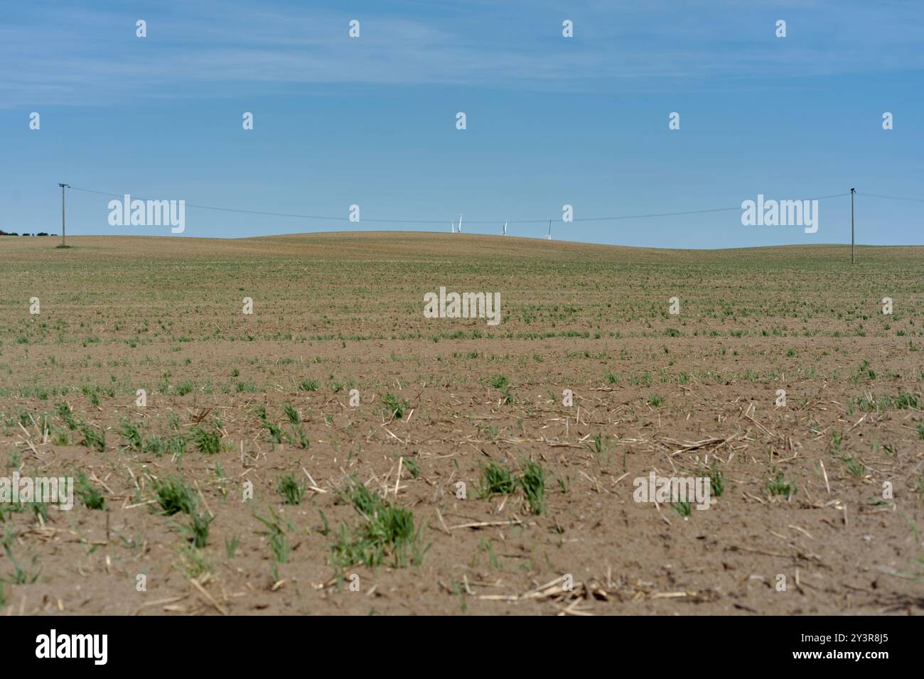 Power lines run through rural hi-res stock photography and images - Alamy