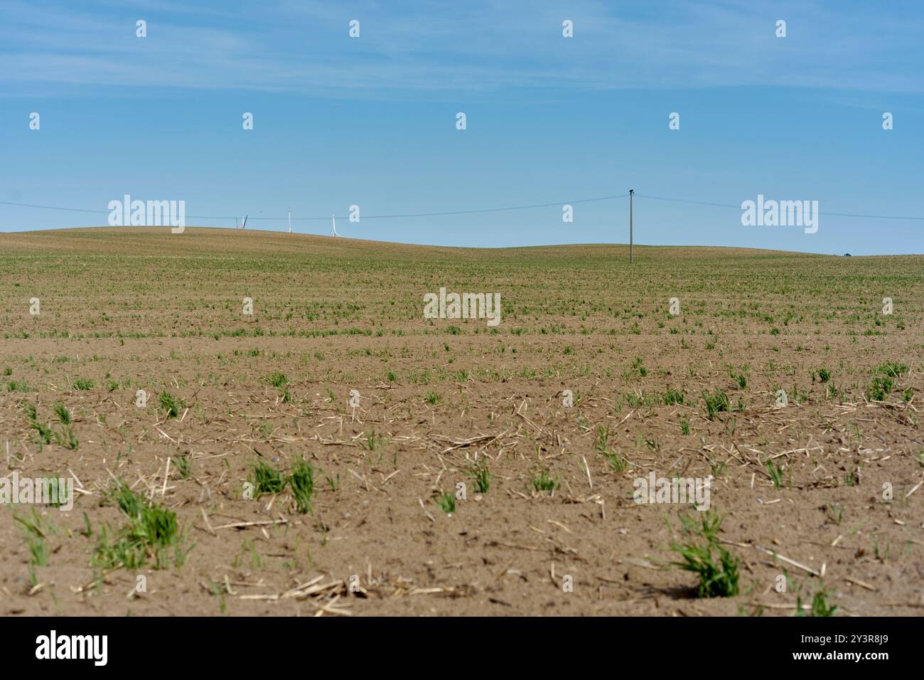 High-voltage power lines run through a fallow field near Seehausen ...