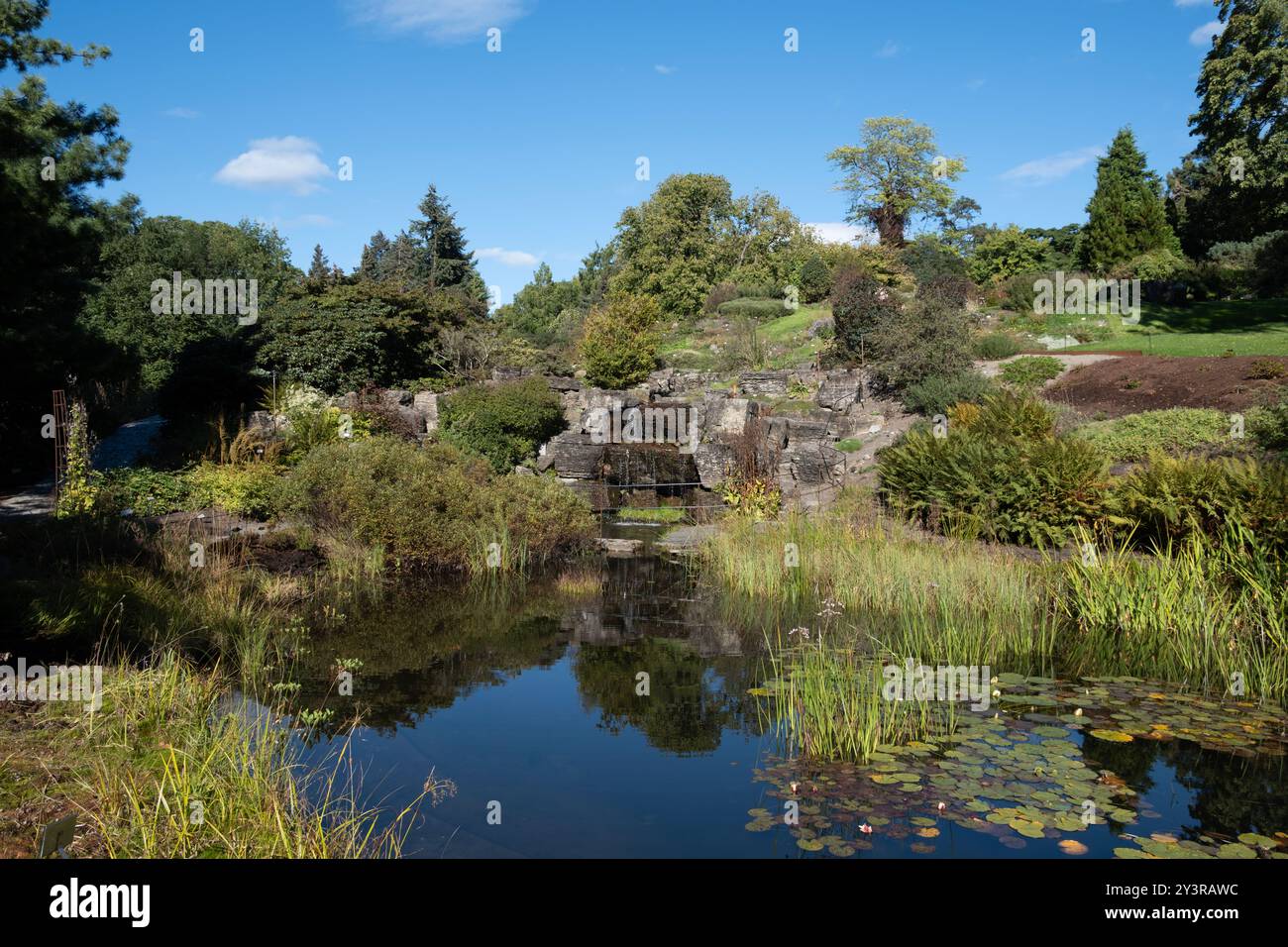 The rock garden in the University Botanical Garden, Tøyen, Oslo Norway ...