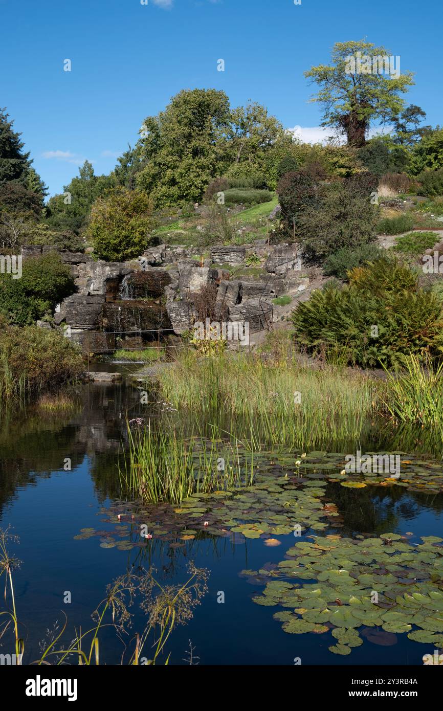 The rock garden in the University Botanical Garden, Tøyen, Oslo Norway ...