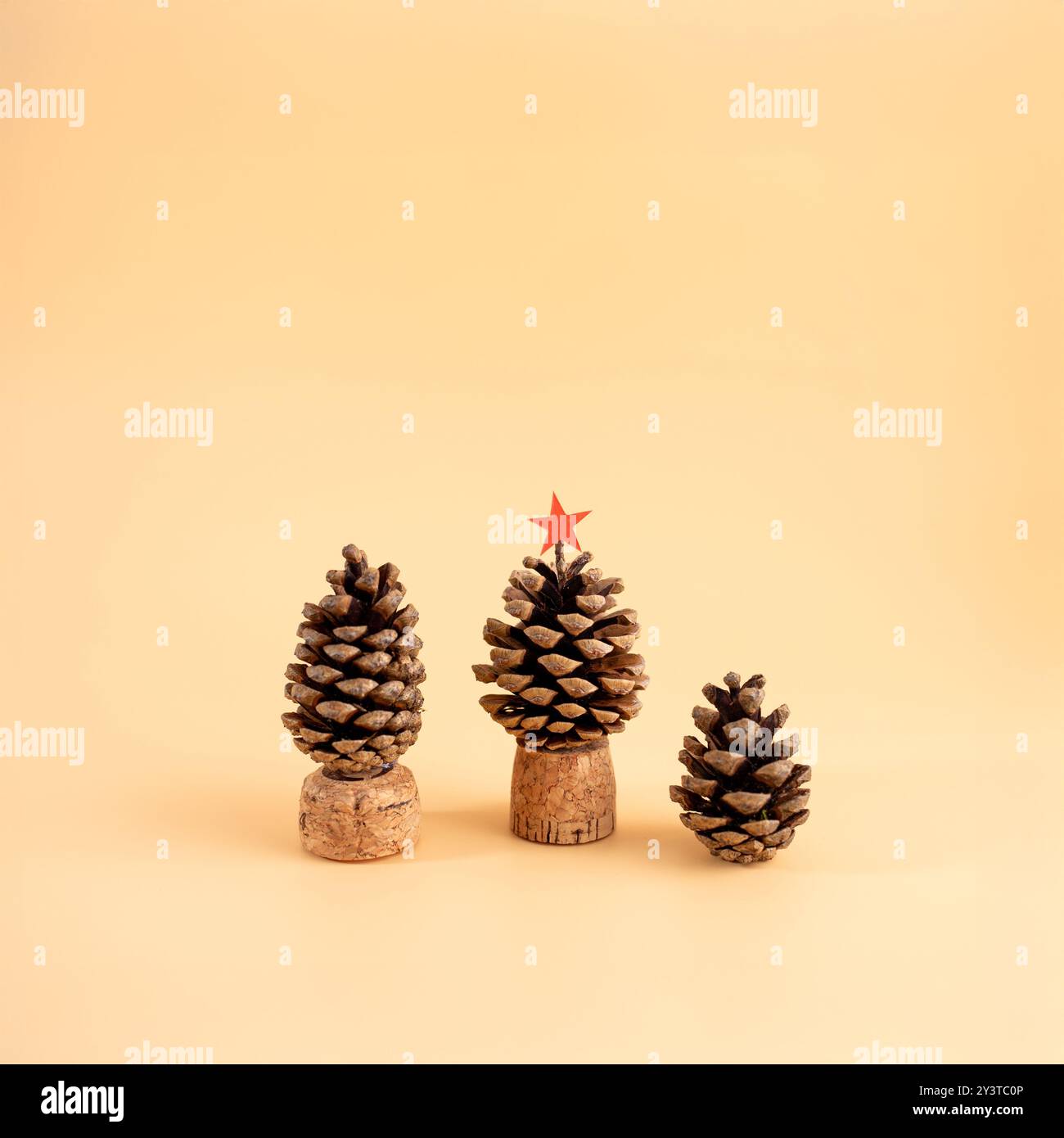 Pine cones arranged on orange background, each on a cork base ...