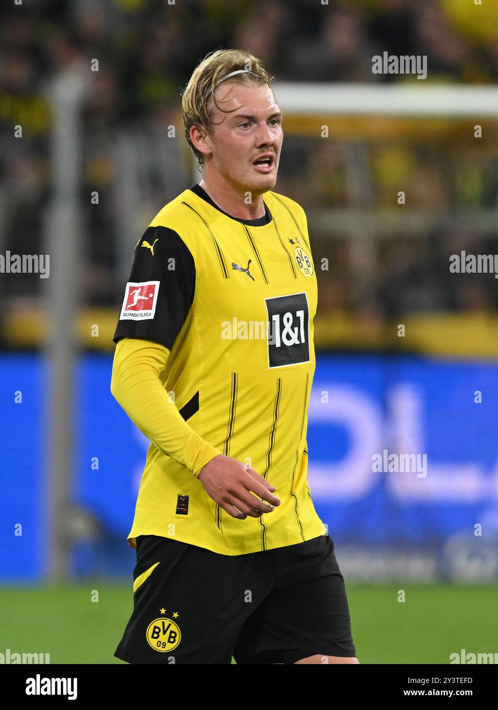DORTMUND - Julian Brandt of Borussia Dortmund during the Bundesliga ...