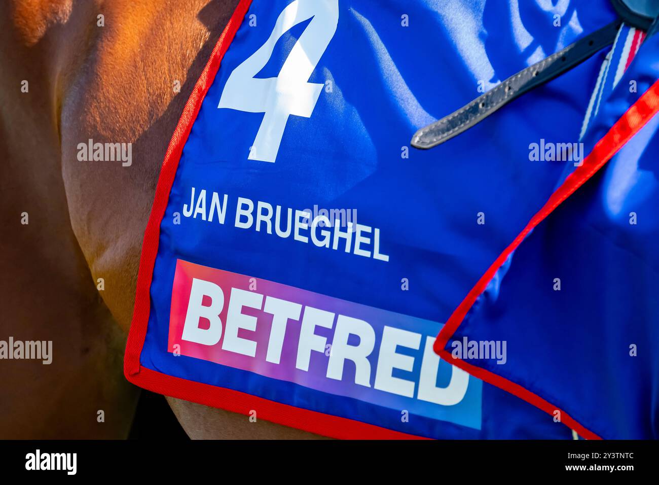 Jan Brueghel - A P OBrien - Sean Levey - St Leger 2024 - Doncaster ...