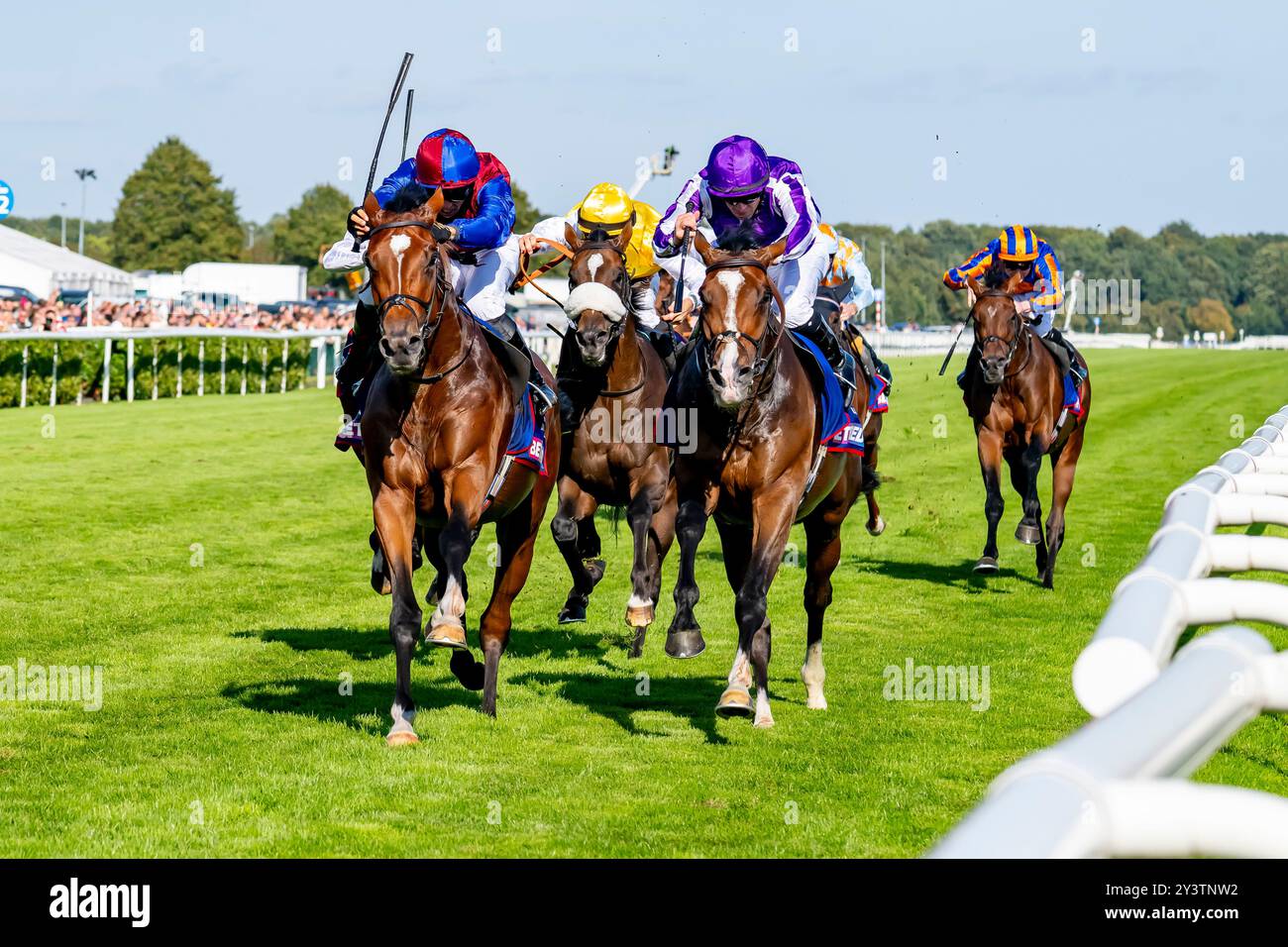 Jan Brueghel - A P OBrien - Sean Levey - St Leger 2024 - Doncaster ...