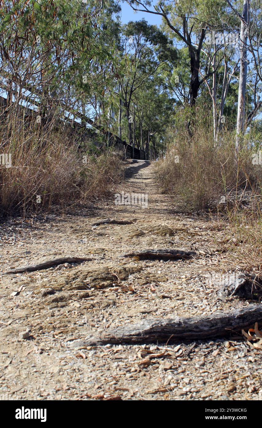 Dirt track through the Australian bush Stock Photo - Alamy