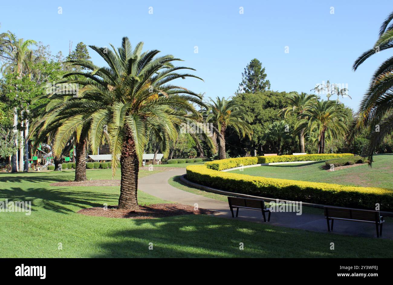 Palm trees, path and park bench seat at the Rockhampton Botanic Gardens ...