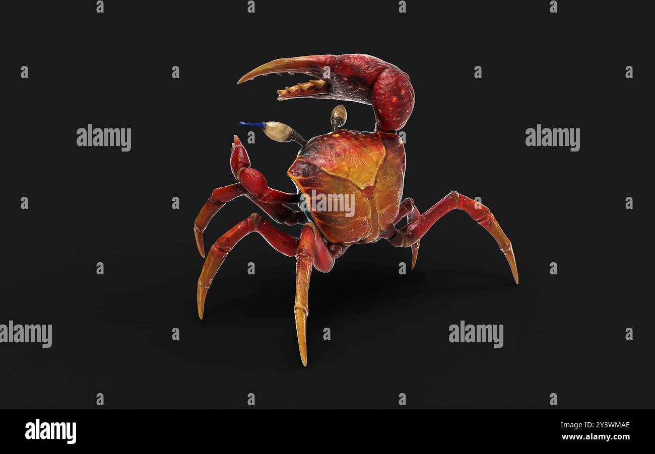 3d Illustration of a Fiddler crab. a strong carapace for protection and ...