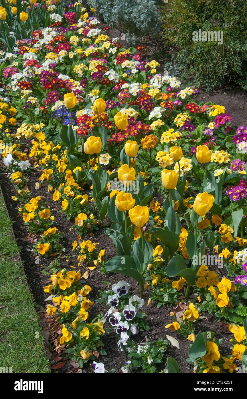 Spring flowers bloom in the Fitzroy Gardens, Melbourne, Australia ...