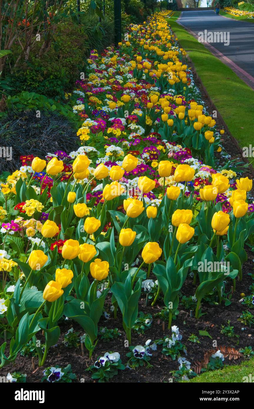 Spring flowers bloom in the Fitzroy Gardens, Melbourne, Australia ...