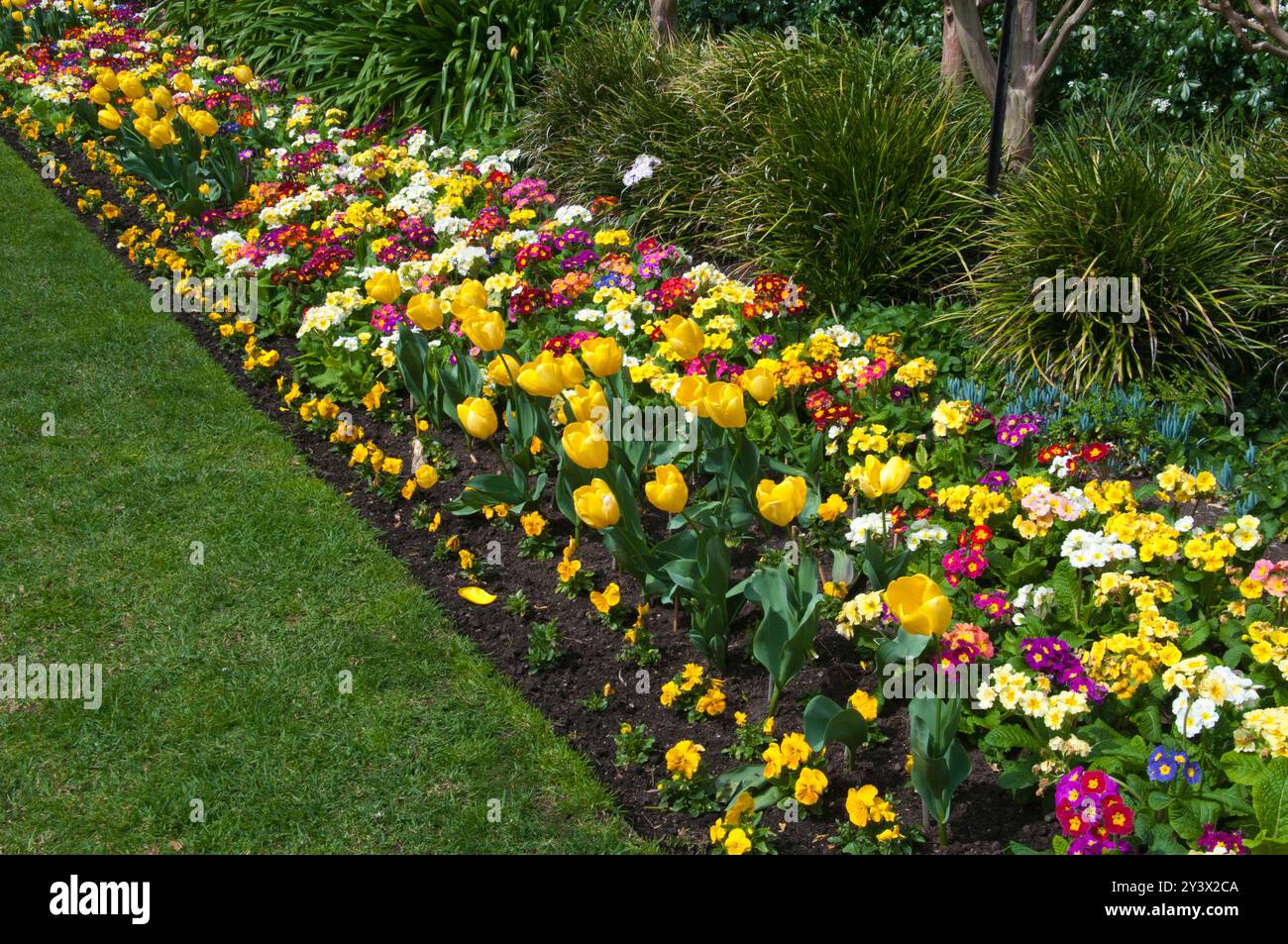 Spring flowers bloom in the Fitzroy Gardens, Melbourne, Australia ...