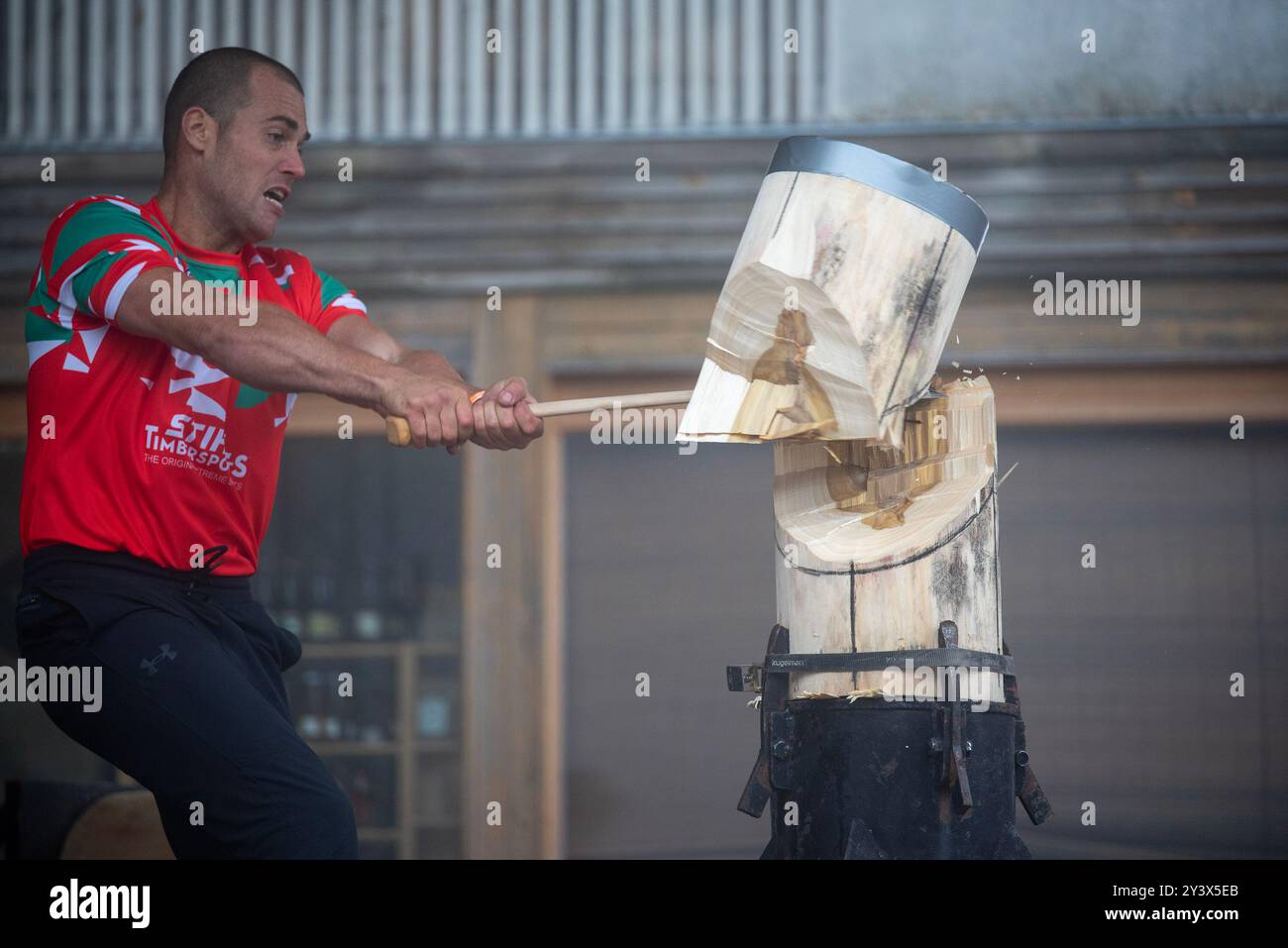 Stihl timbersports series hi-res stock photography and images - Alamy