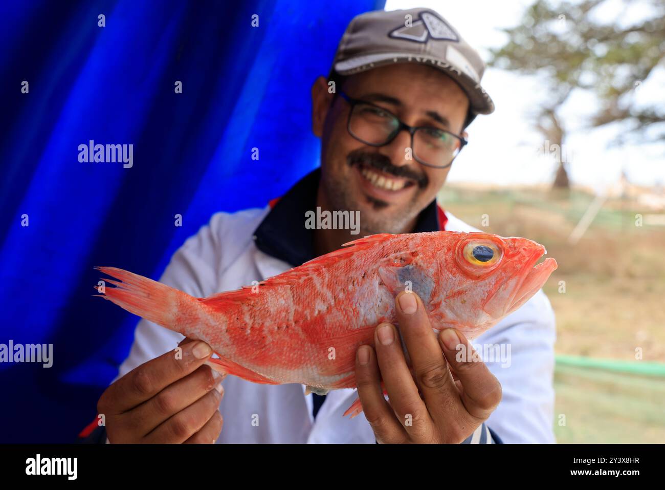 Restaurant serving fresh grilled fish caught in the Atlantic Ocean in ...