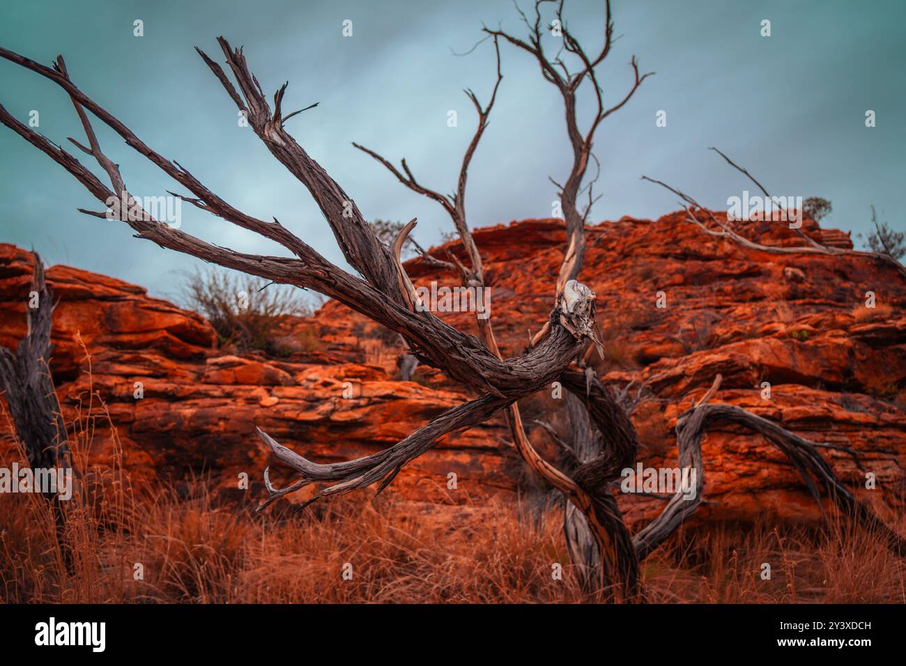 Landscape of Kings Canyon Rim Walk, Australia Stock Photo - Alamy