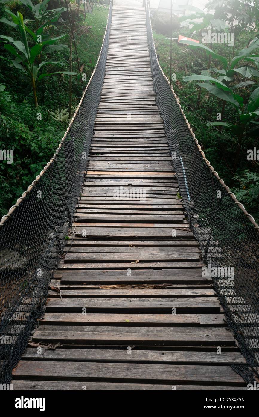Suspension bridge in the evergreen forest for adventure trail in Chiang ...