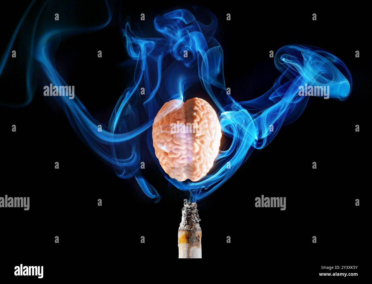 Anatomical brain model with smoke ascending from a cigarette ...
