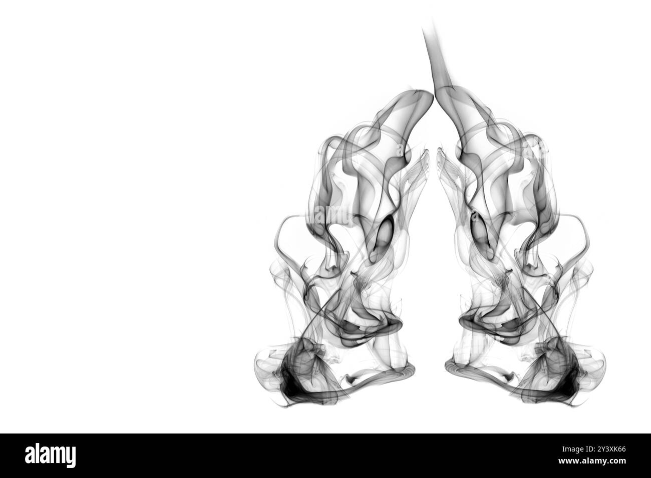 Black smoke forming silhouette of human lungs, set against a white ...