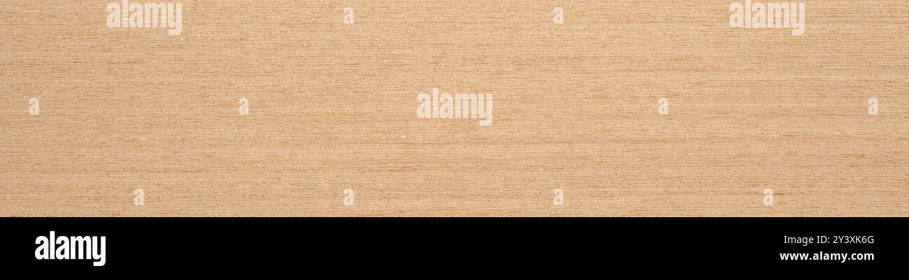 Warm sandy hues and soft grain patterns elegantly pronounce the natural ...