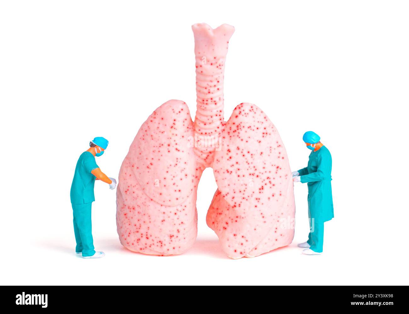 Research study examining health Cut Out Stock Images & Pictures - Alamy