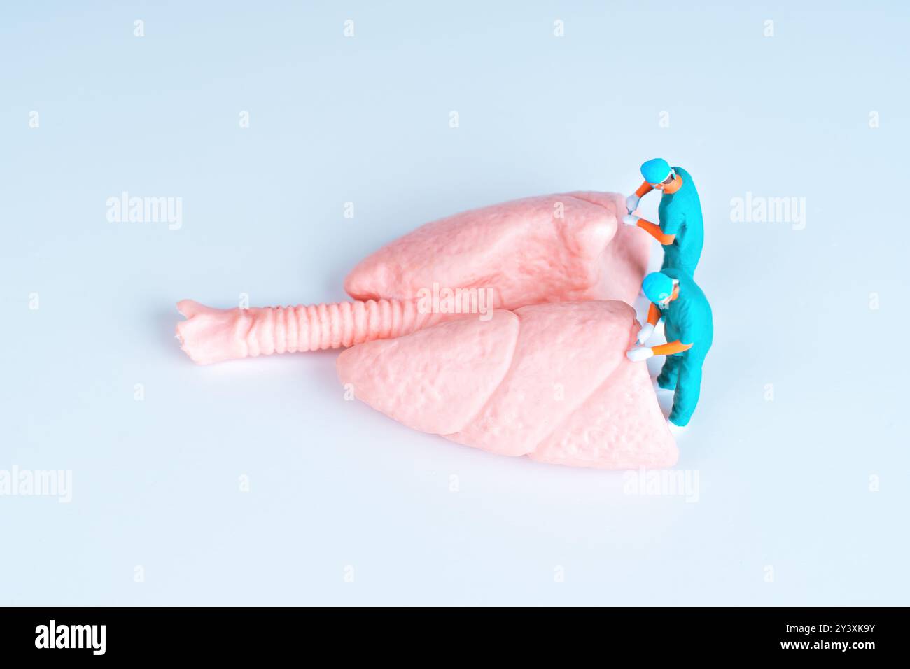 Miniature doctor figurines performing surgery on a model of human lungs ...