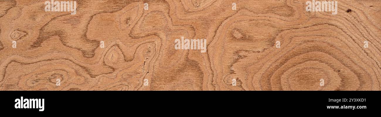 The captivating veneer surface reveals nature's artistry, where hues of ...