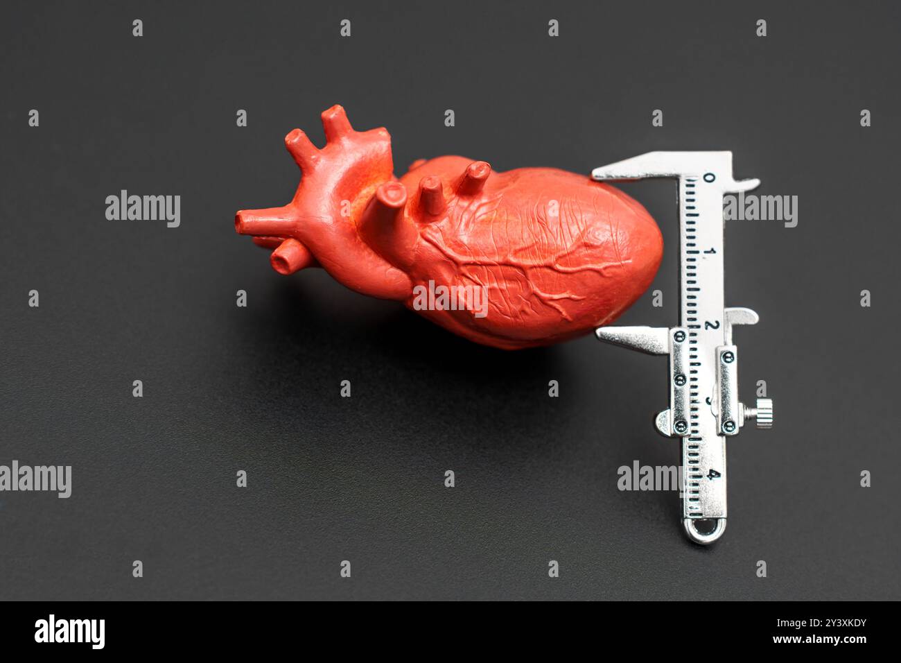 Detailed anatomical heart model next to measuring tool on black ...