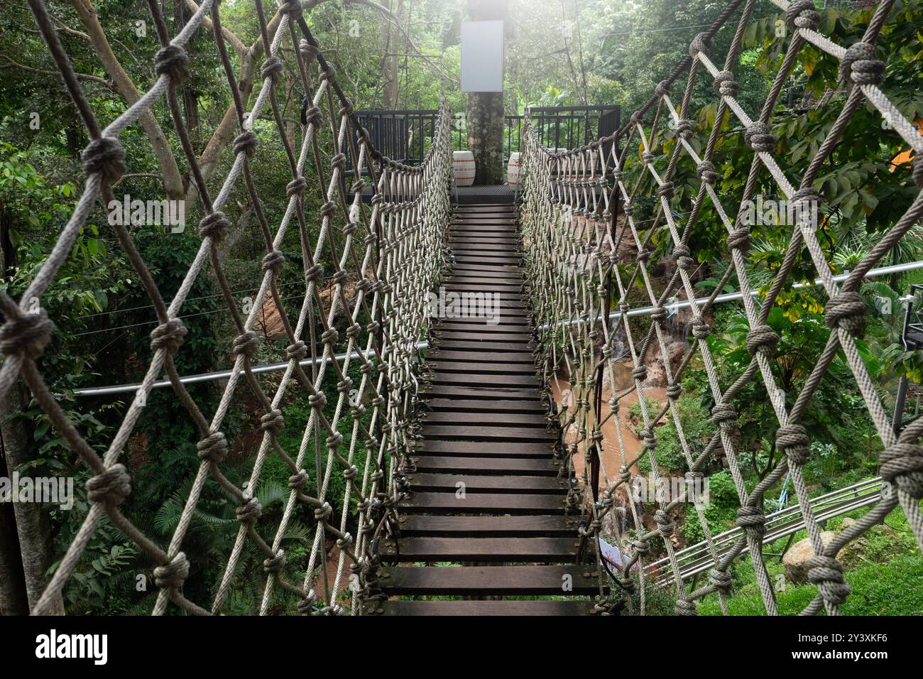 Suspension bridge in the evergreen forest for adventure trail in Chiang ...
