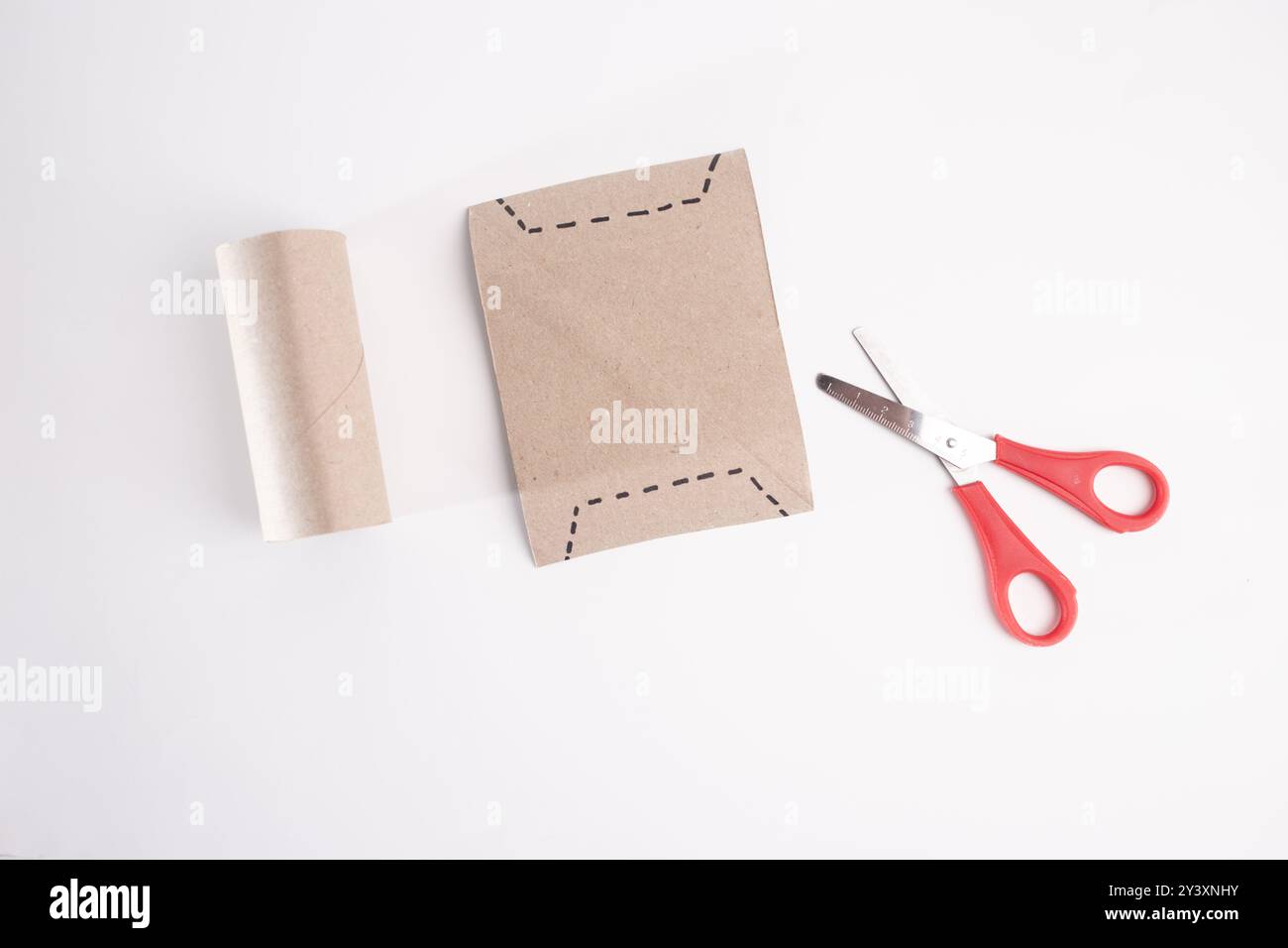 Tutorial Material: Scissors, paper and empty toilet paper roll. card ...