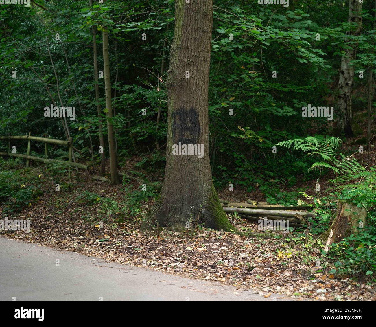 Anti semitic graffiti on synagogue hi-res stock photography and images ...