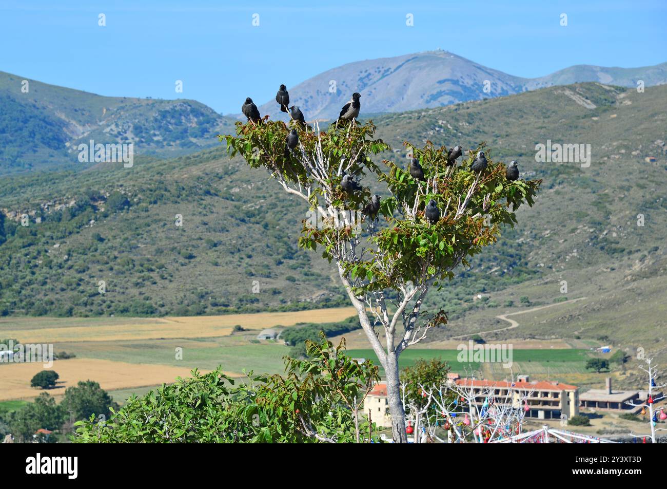 Gokceada Island in Canakkale, Turkey Stock Photo - Alamy
