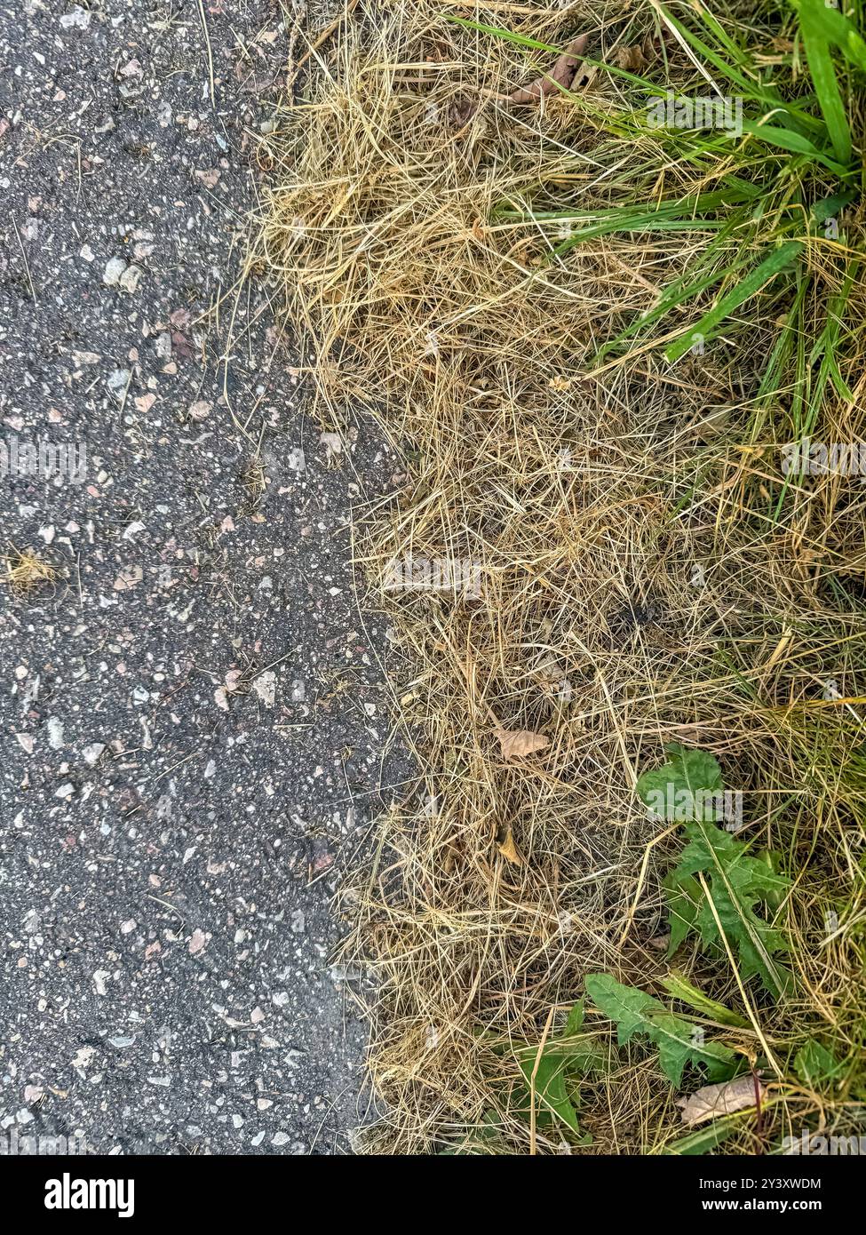 Urbanvsnature hi-res stock photography and images - Alamy