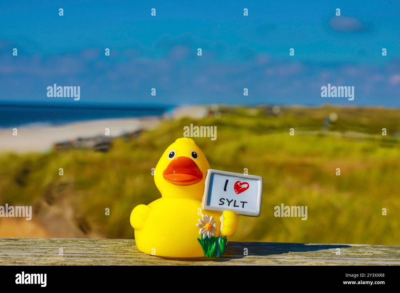 Sylt- Quietscheentchen - Sylt ist eine Insel in der Nordsee und ein ...